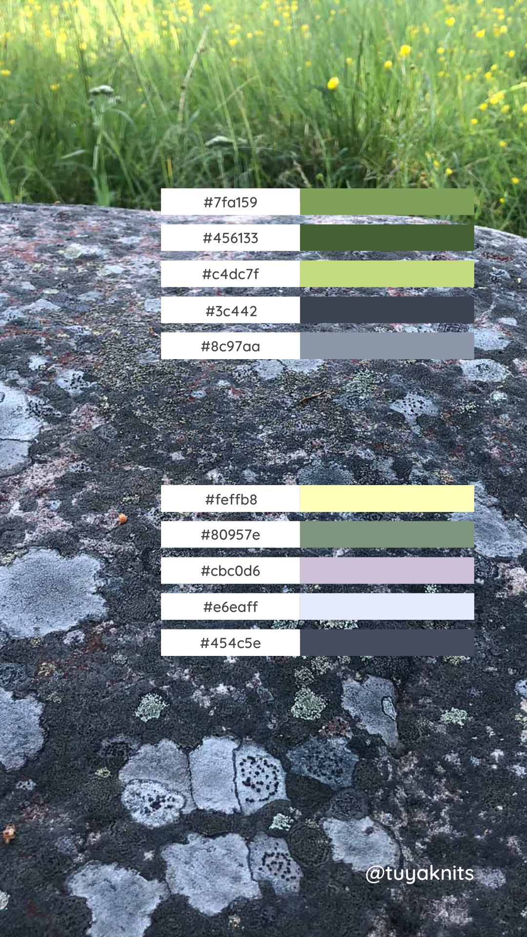 How to find color inspiration for knitwear designs with Canva? – Easy ...